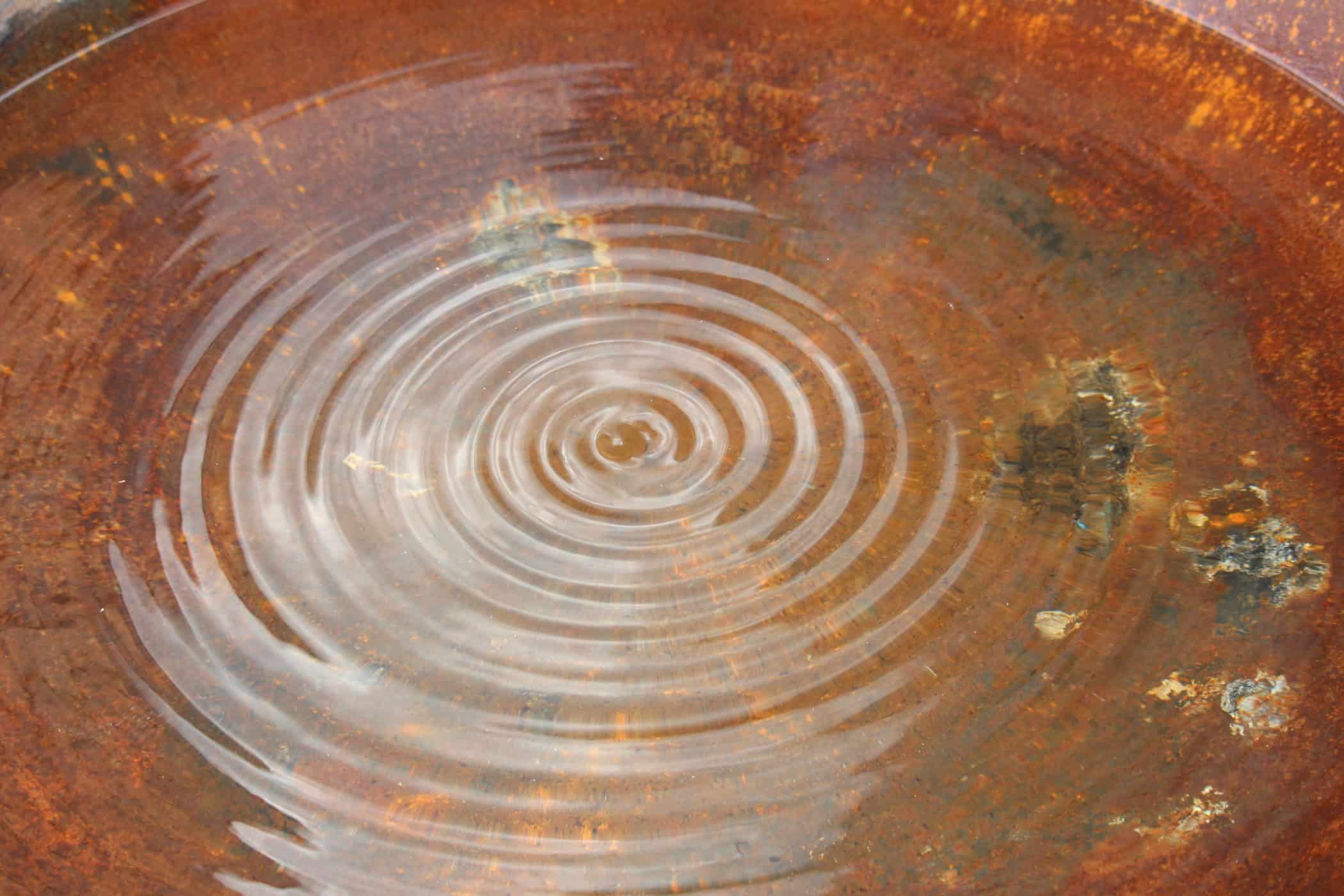 ‘Whole Life Development’ with EarthStar - EarthStar Freedom Blog
